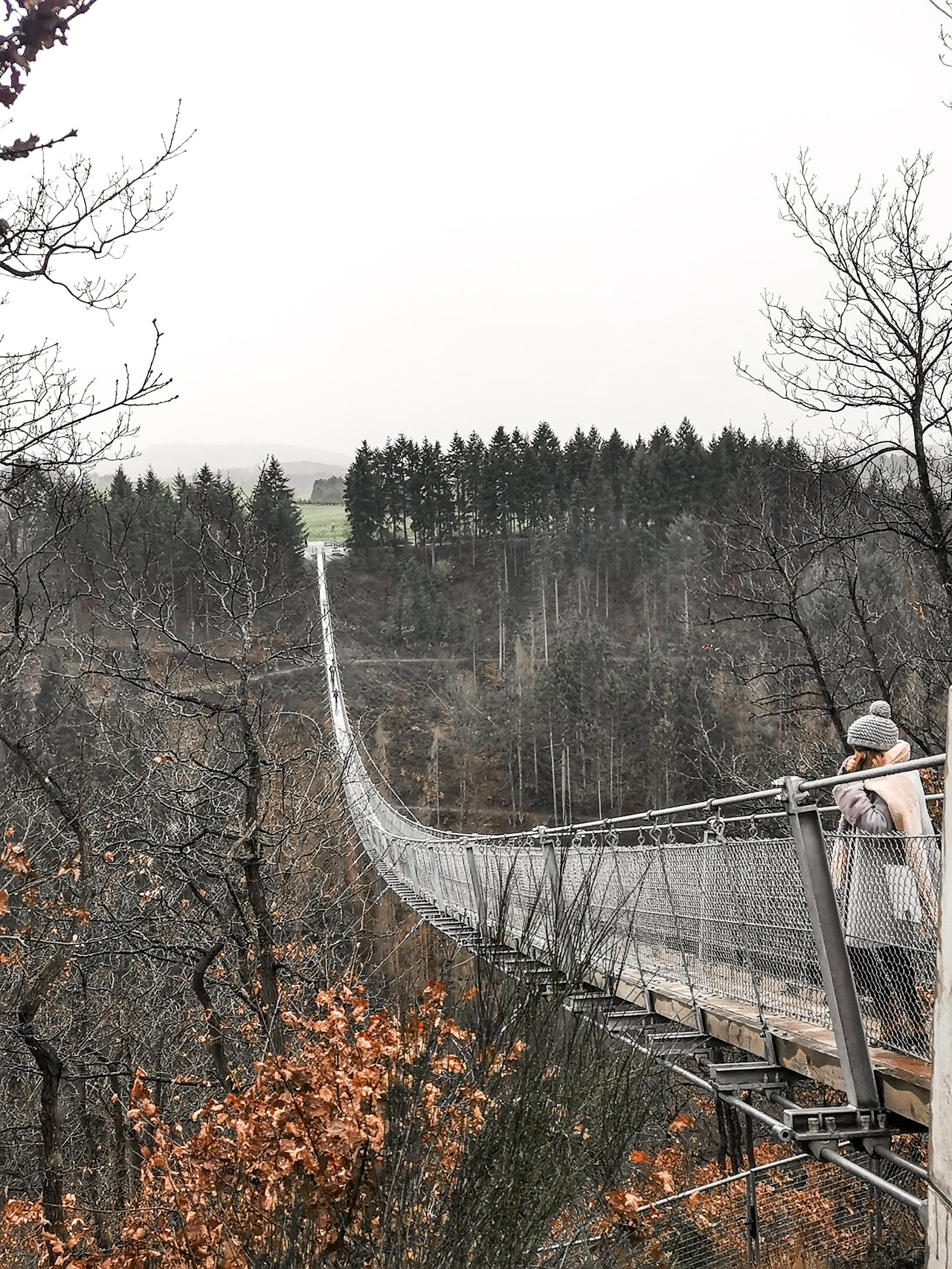 What to know about the The Geierlay Suspension Bridge in Sosberg? - Fly ...